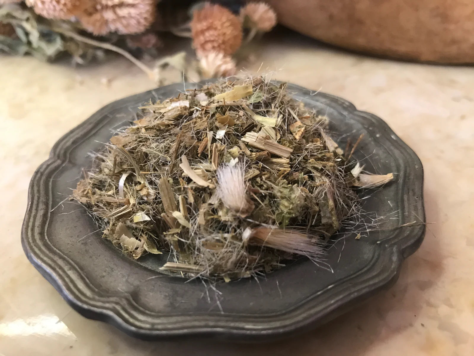 Blessed Thistle (Banish Evil & Spell Breaker) | Herbs For Spells ...