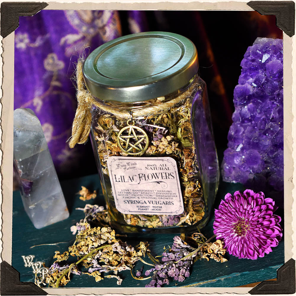 Liliac (Psychic Awareness & Letting Go) | Herbs For Rituals, Spells ...