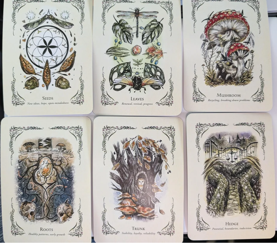 Buy The Green Witch's Oracle Card Deck – Green Witch Creations