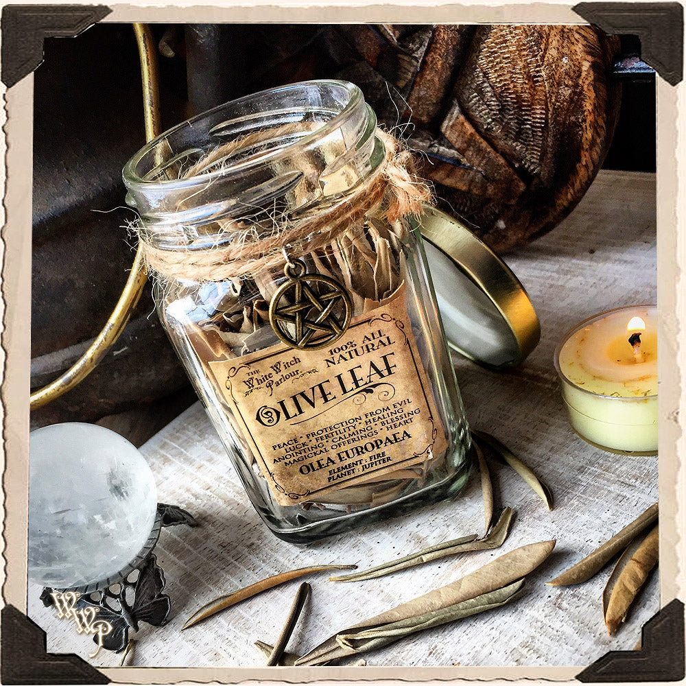 Olive Leaves (Peace & Healing) | Herbs For Rituals, Spells ...
